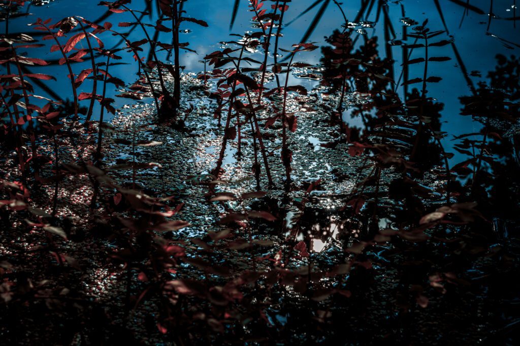 Michelle Blancke - Aesthetica Art Prize