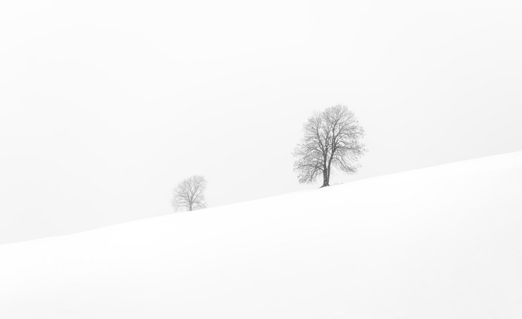 Projects Archive - Page 2 of 30 - Aesthetica Art Prize