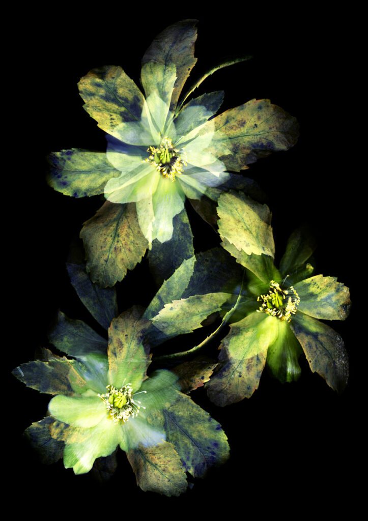 Aesthetica Art Prize - Aesthetica Art Prize